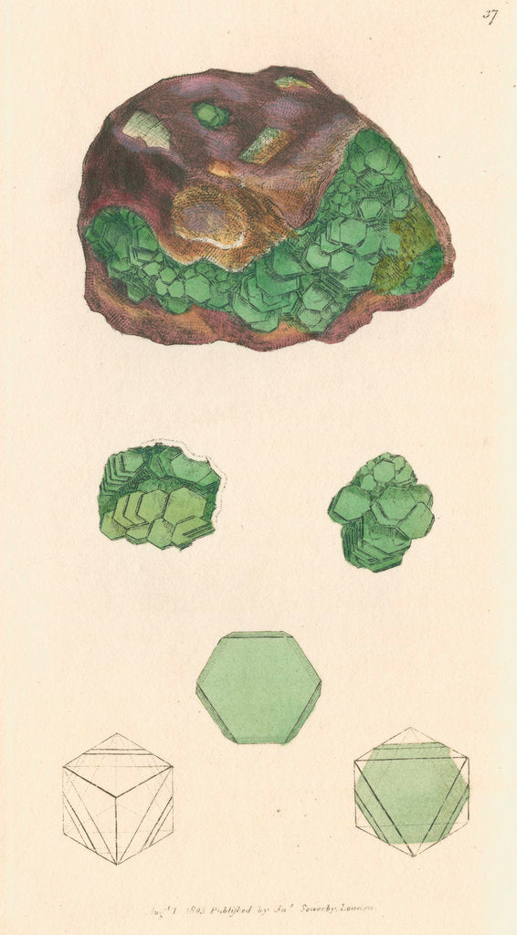 'Cuprum arseniatum' posters & prints by James Sowerby