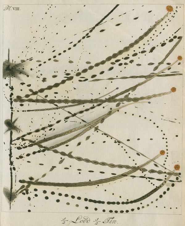 Lead-Tin alloy wire explosion pattern posters & prints by Anonymous