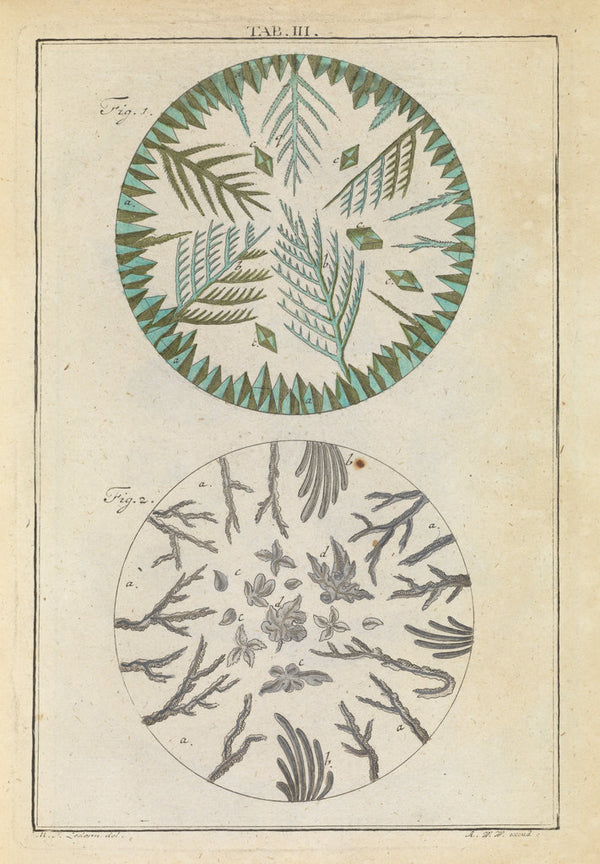 Crystallised salts posters & prints by Martin Frobene Ledermuller