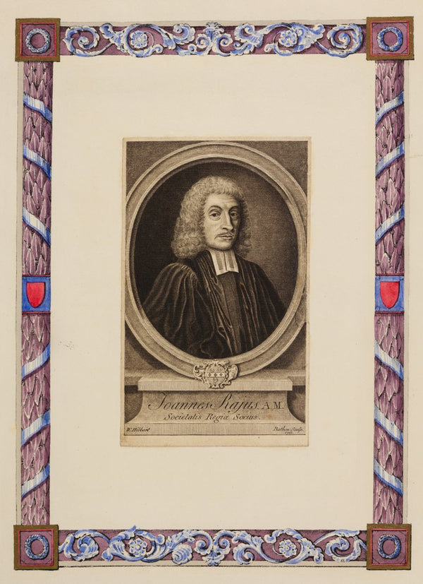 Portrait of John Ray posters & prints by William Hibbart