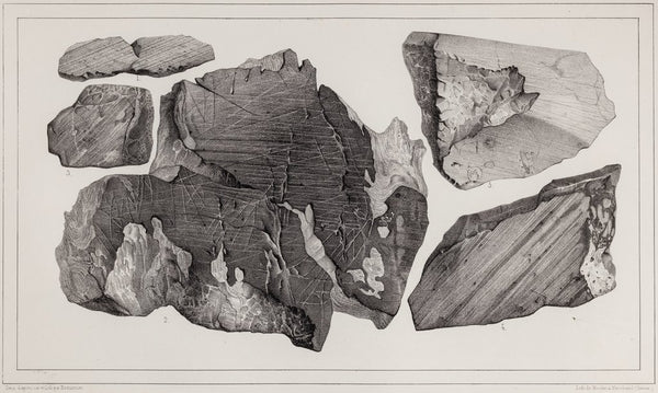 Geology, crystal and mineral prints and drawings