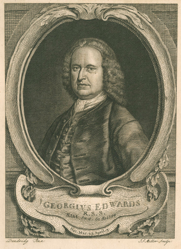 Portrait of George Edwards (1694-1773) posters & prints by Johann ...